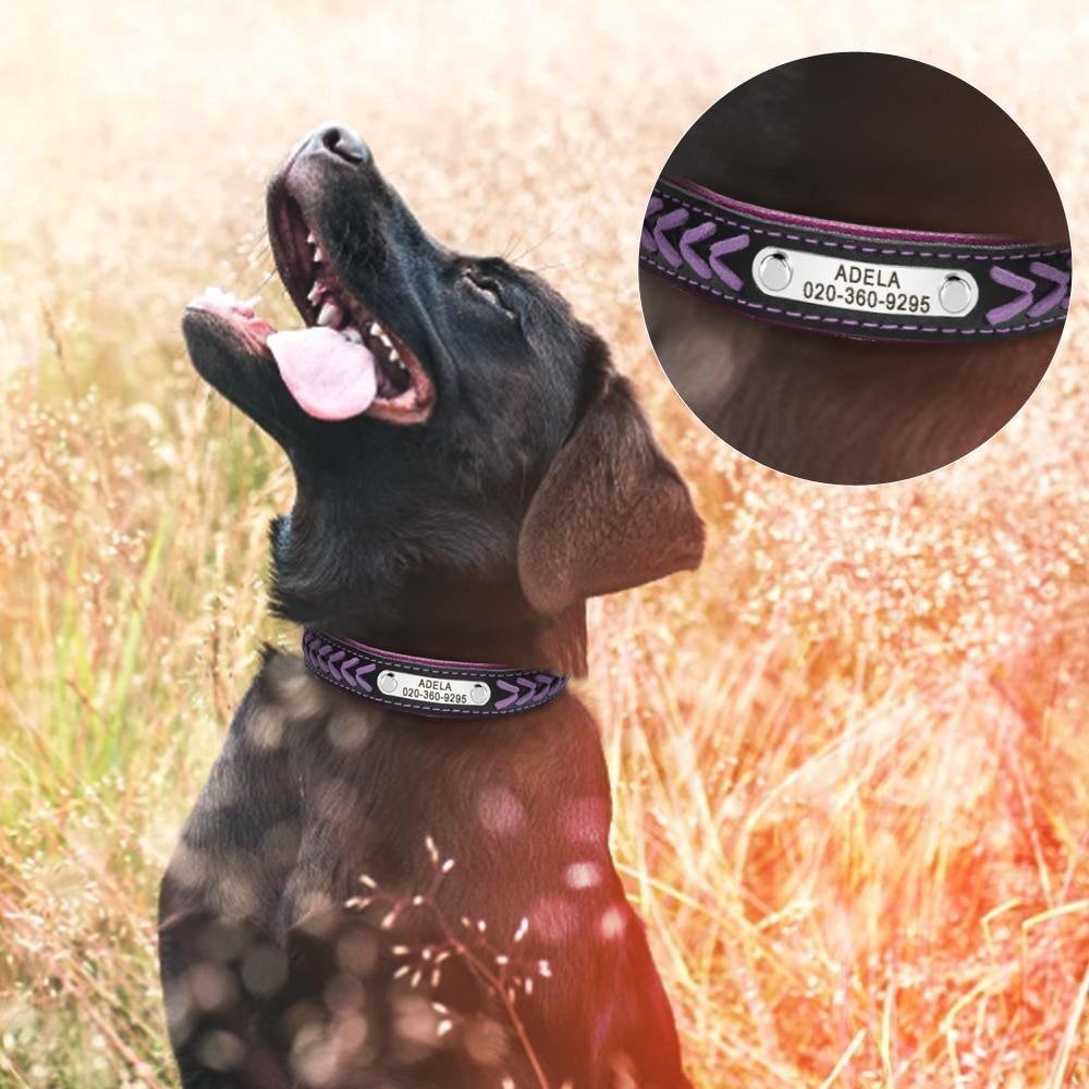 Leather Braid Name Tag Collar | FancyPetTags.com