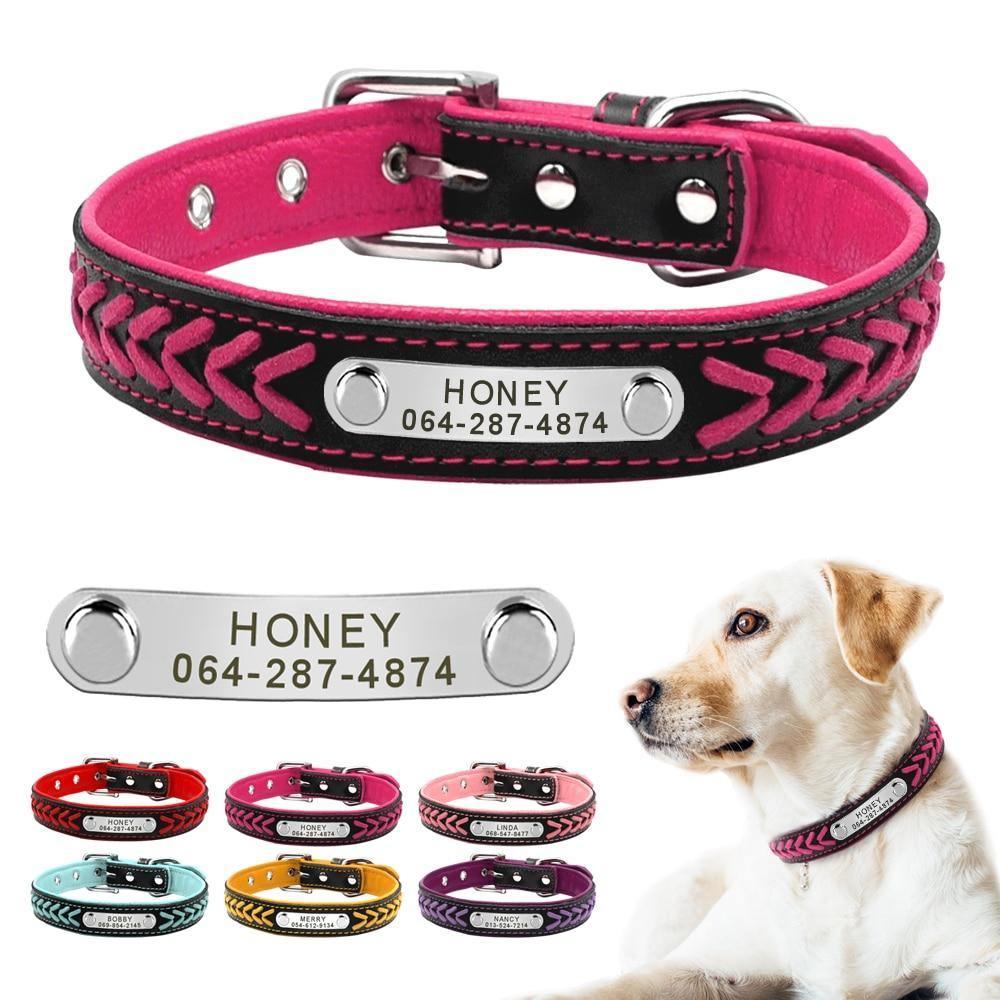 Leather Braid Name Tag Collar | FancyPetTags.com